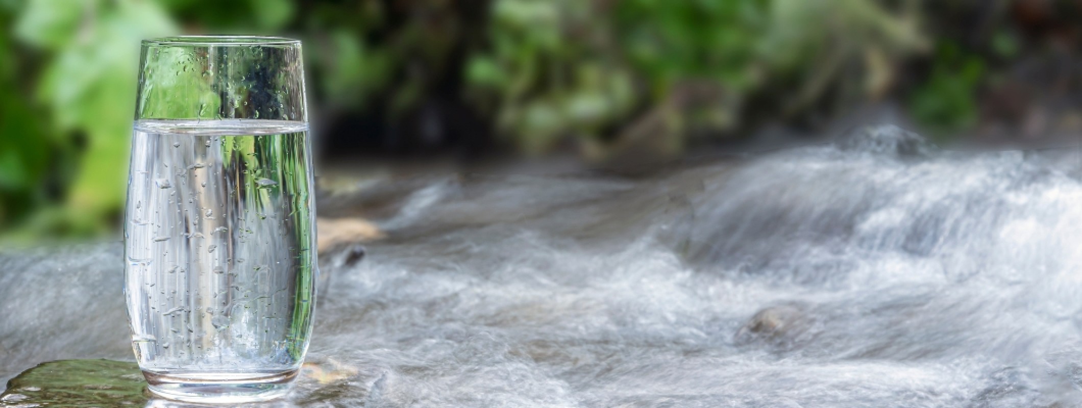 ᐉ Todo sobre la plata coloidal - Benepura.es